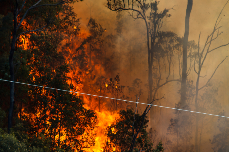 Updated WHS information for managing the risk of bushfires